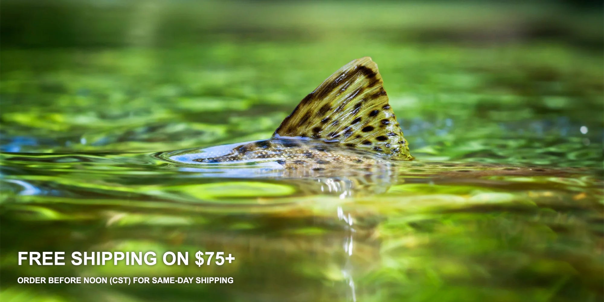 The Best Fly Tying Materials & Supplies Online – Fly Artist