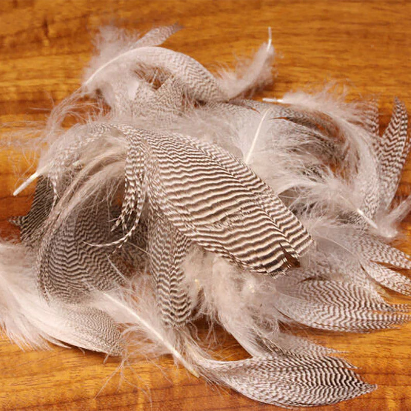 Hareline Pintail Flank Feathers – Fly Artist