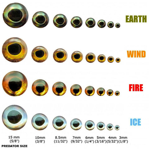 Fish Skull Living Eyes : Flymen Fishing Company – Fly Artist