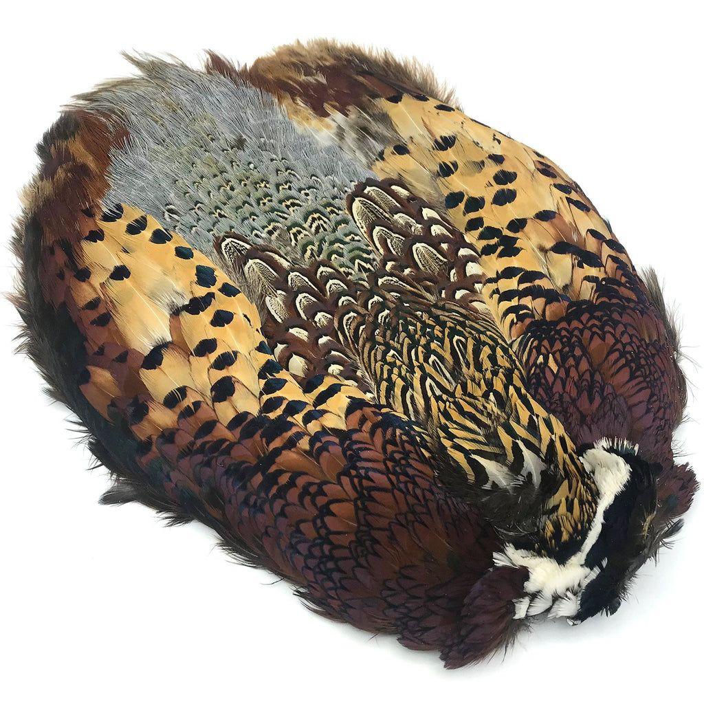 Ringneck Pheasant Skin – Fly Artist