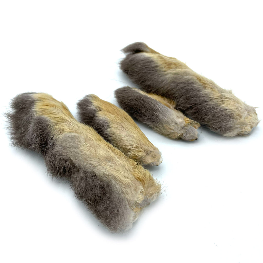 Snowshoe Rabbit Feet : Hareline – Fly Artist