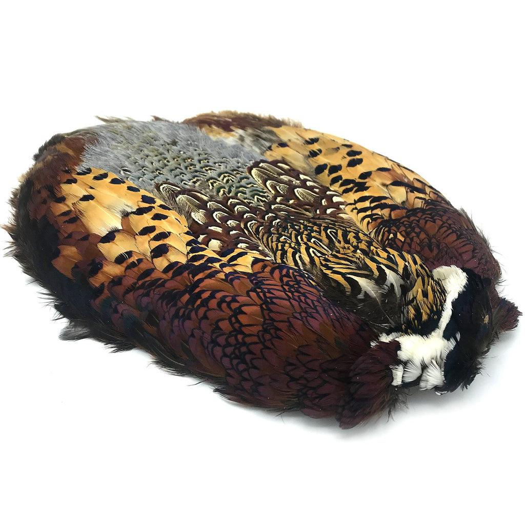 Ringneck Pheasant Skin – Fly Artist